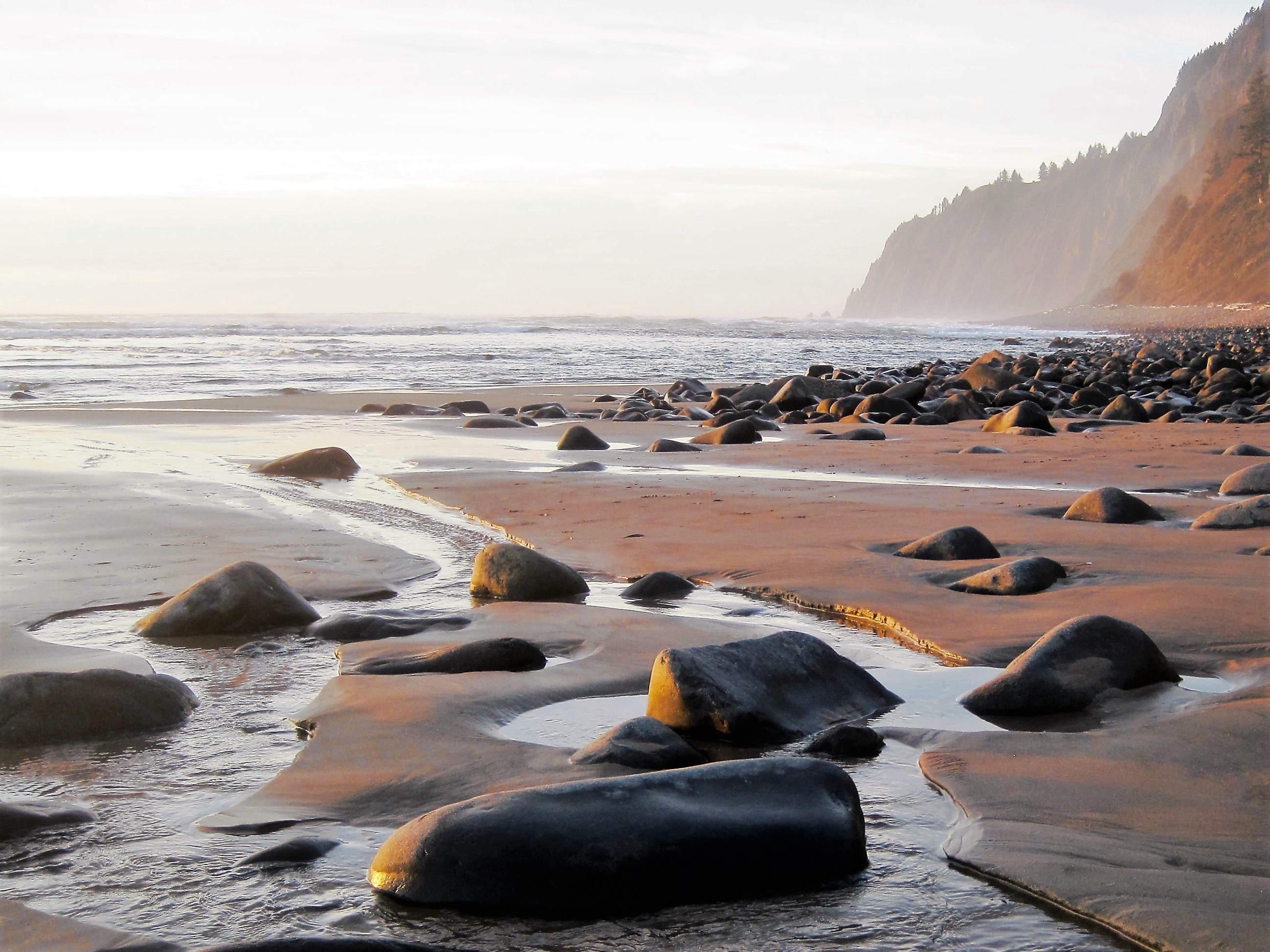 contact | Jeffrey D Rice, MD